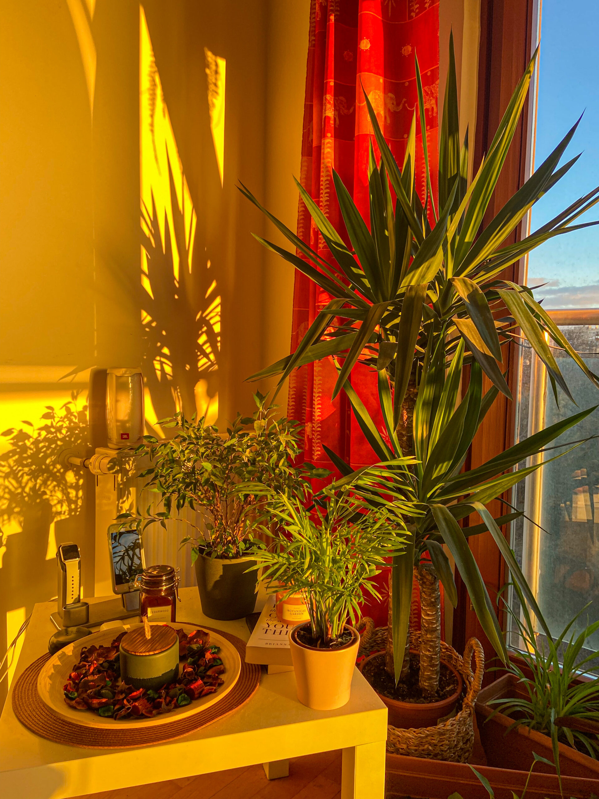 The FI Series - Part I: Stages of FI & FIRE Concept(s) - Firexplorer